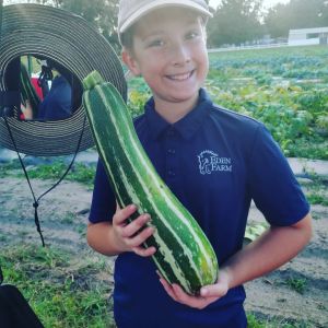 What we grow – O'Steen's Market & Farm